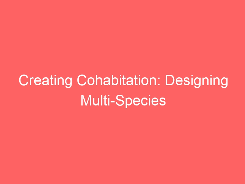 Creating Cohabitation: Designing Multi-Species Reptile Enclosures ...