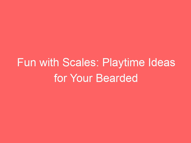 Fun with Scales: Playtime Ideas for Your Bearded Dragon - reptilfe