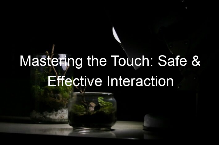 Mastering the Touch: Safe & Effective Interaction with Bearded Dragons ...