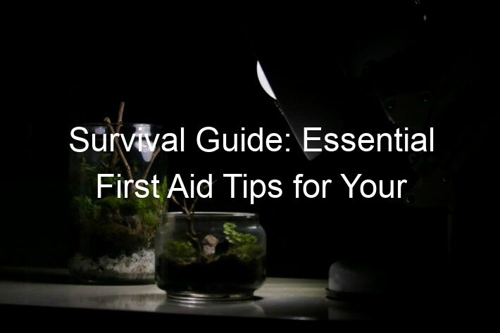 Survival Guide: Essential First Aid Tips for Your Bearded Dragon - reptilfe