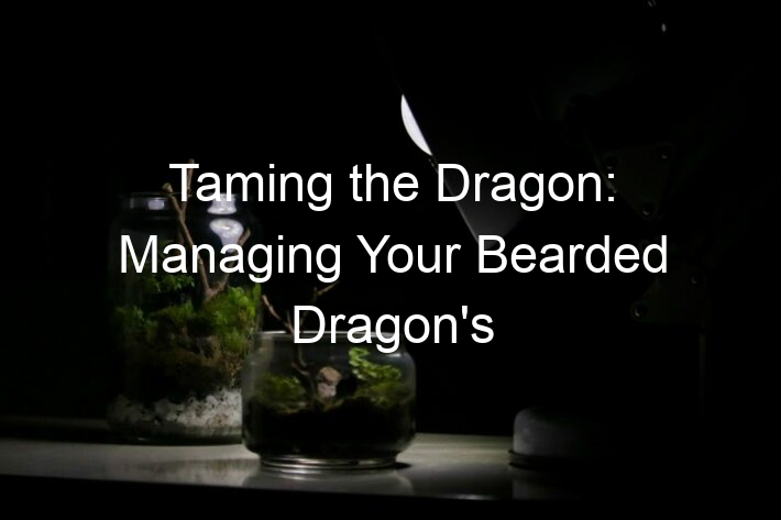 Taming the Dragon: Managing Your Bearded Dragon's Territorial Traits - reptilfe