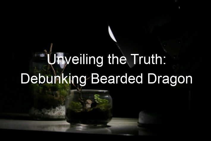 Unveiling the Truth: Debunking Bearded Dragon Myths - reptilfe Unveiling the Truth: Debunking Bearded Dragon Myths - reptilfe